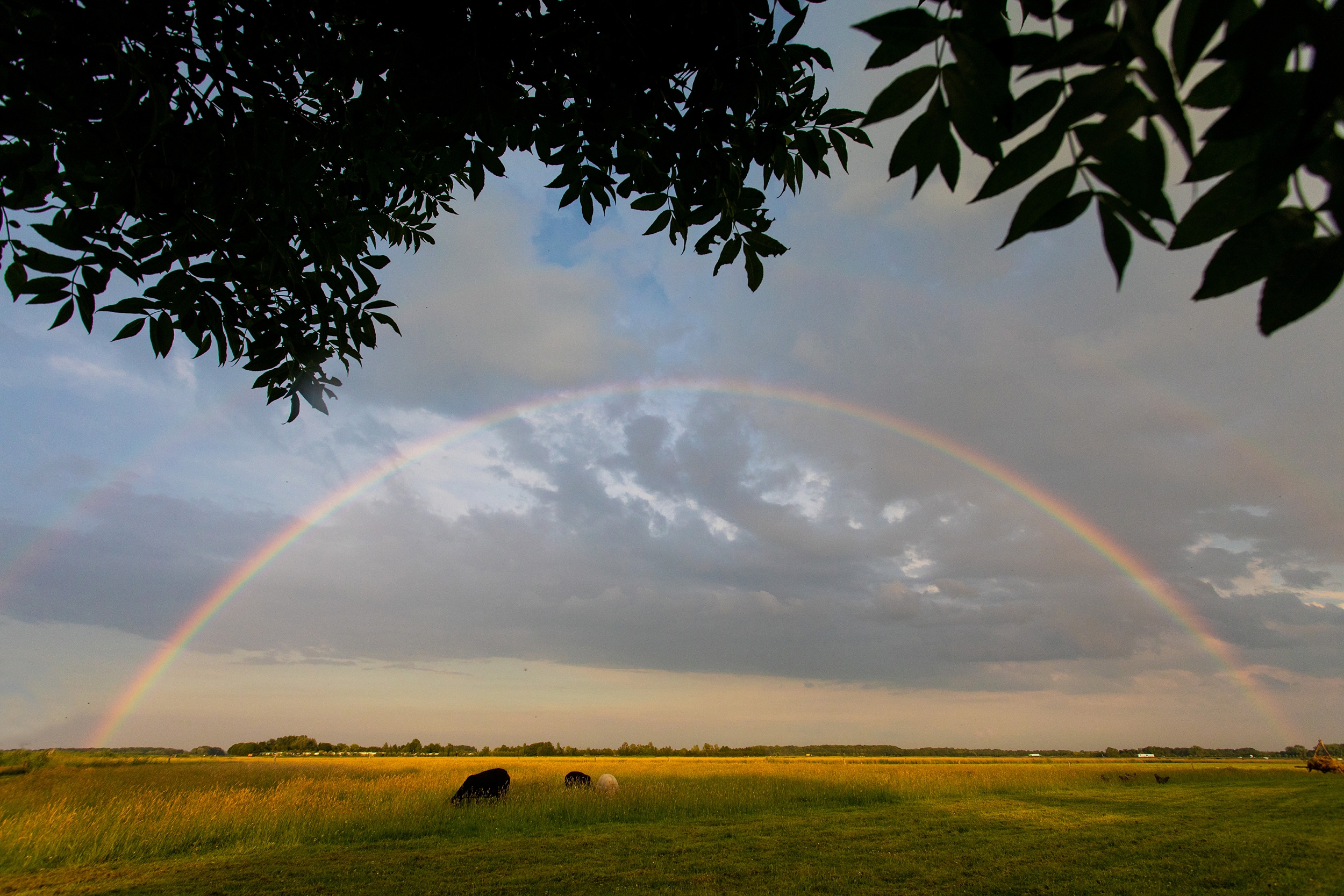 Trouw Van God Het Fundament Van Gods Trouw Derekprince.nl